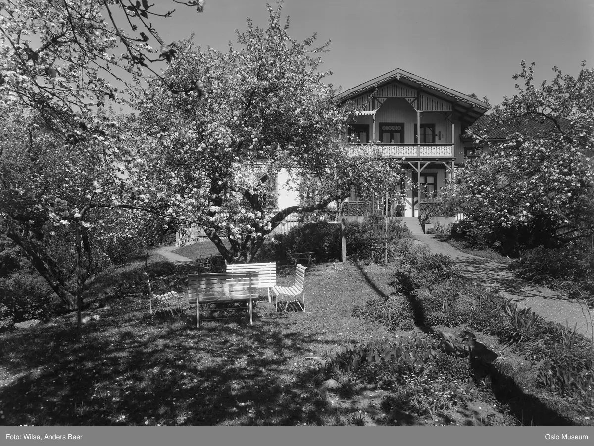 Hoff gård - Oslo Museum / DigitaltMuseum