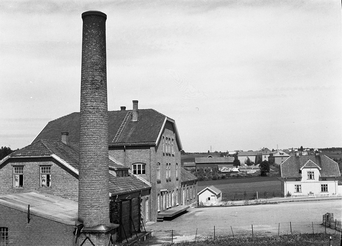 Lena Meieri, Ø.Toten. Fire bilder. På bilde 3 og 4 ses Valle i ...