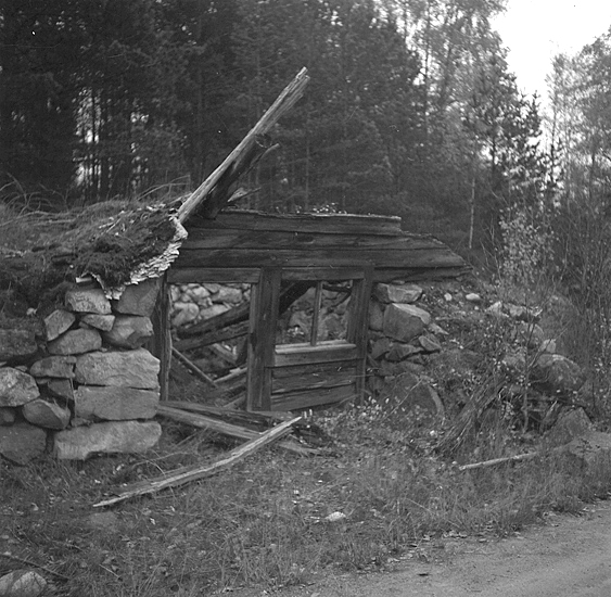 En halvt raserad backstuga. Signhildastugan före restaurering ...