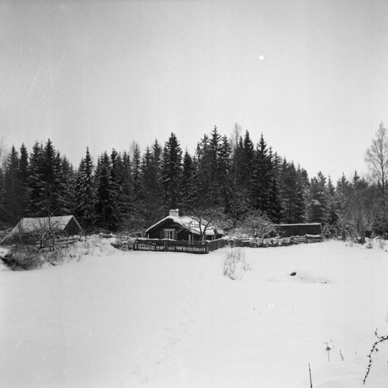 Ett torp. - Kulturparken Småland / Smålands museum / DigitaltMuseum