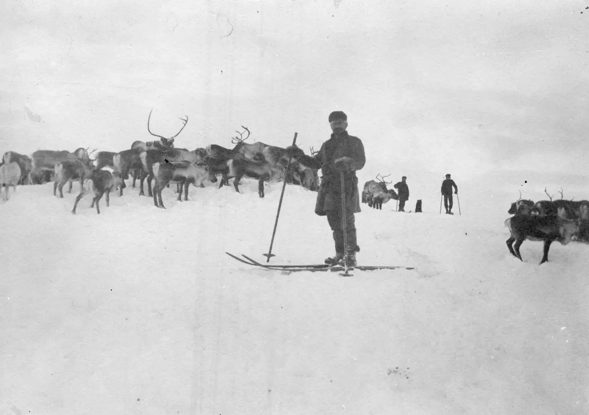 Daniel Mortensson - Rørosmuseet