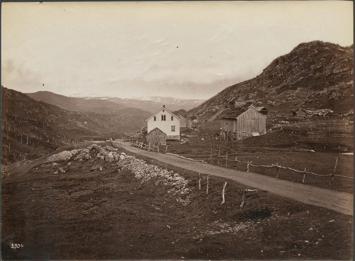 Seljestad i Hardanger [Fotografi] - Nasjonalmuseet ...