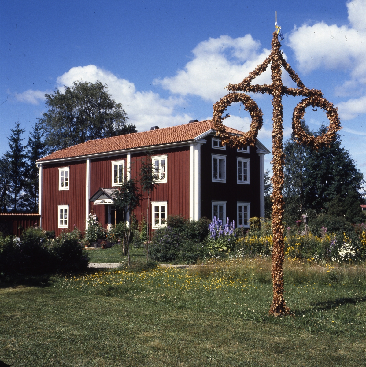 Gården med vissnad och brun majstång, Sunnanåker 25 juli 1988 ...