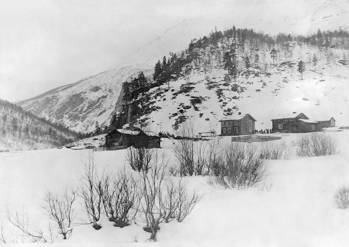 "Fra Saltdalen Statsskoger. Gaarden Solvaagli i Junkerdalen, ryddet og ...