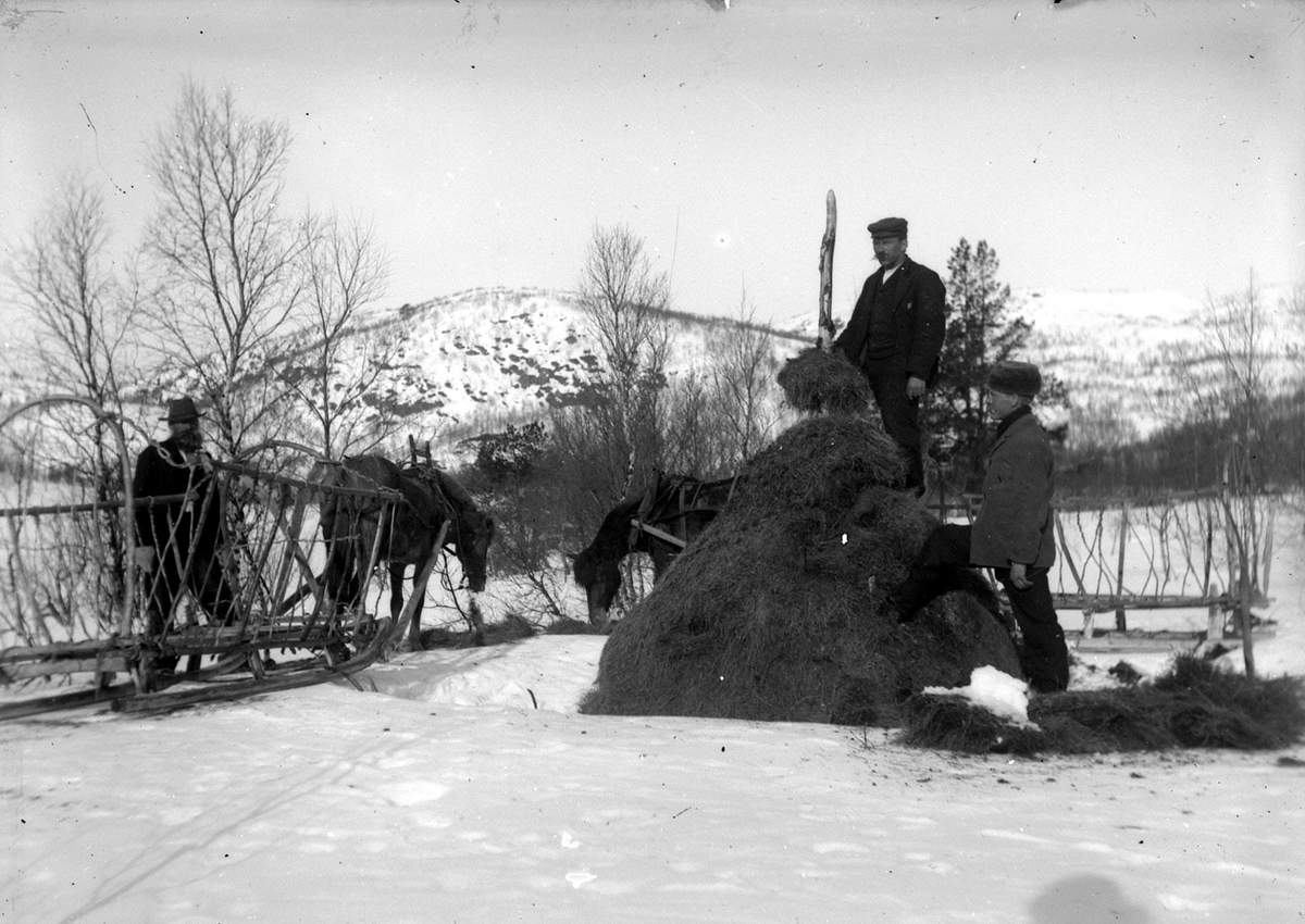 Fotosamling etter Aanund Olavson Edland (1872-1940) - Telemark Museum ...