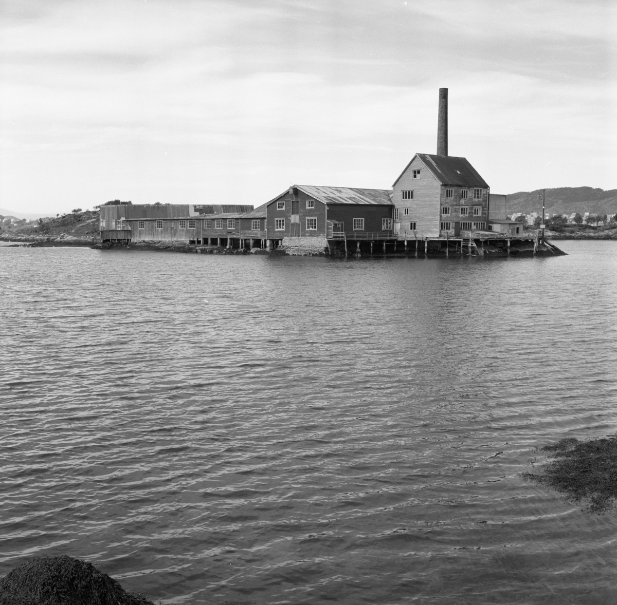 Gamle industribygninger på Tennholmen ved Sula. - Sunnmøre Museum ...