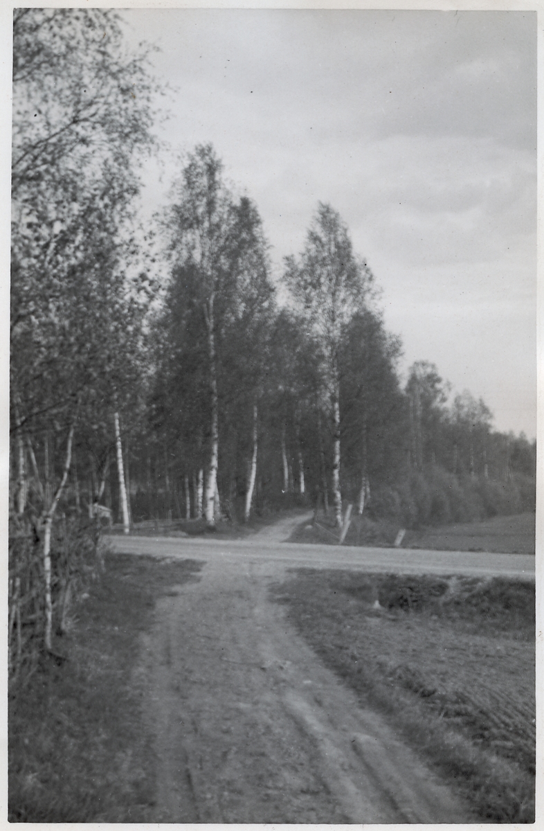 Banvall på Norbergs Järnväg. - Järnvägsmuseet / DigitaltMuseum