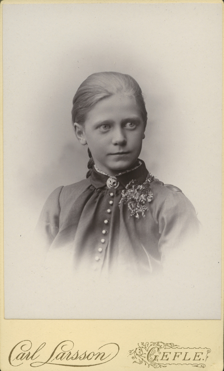 Anna Hedin, 1891. - Länsmuseet Gävleborg / DigitaltMuseum