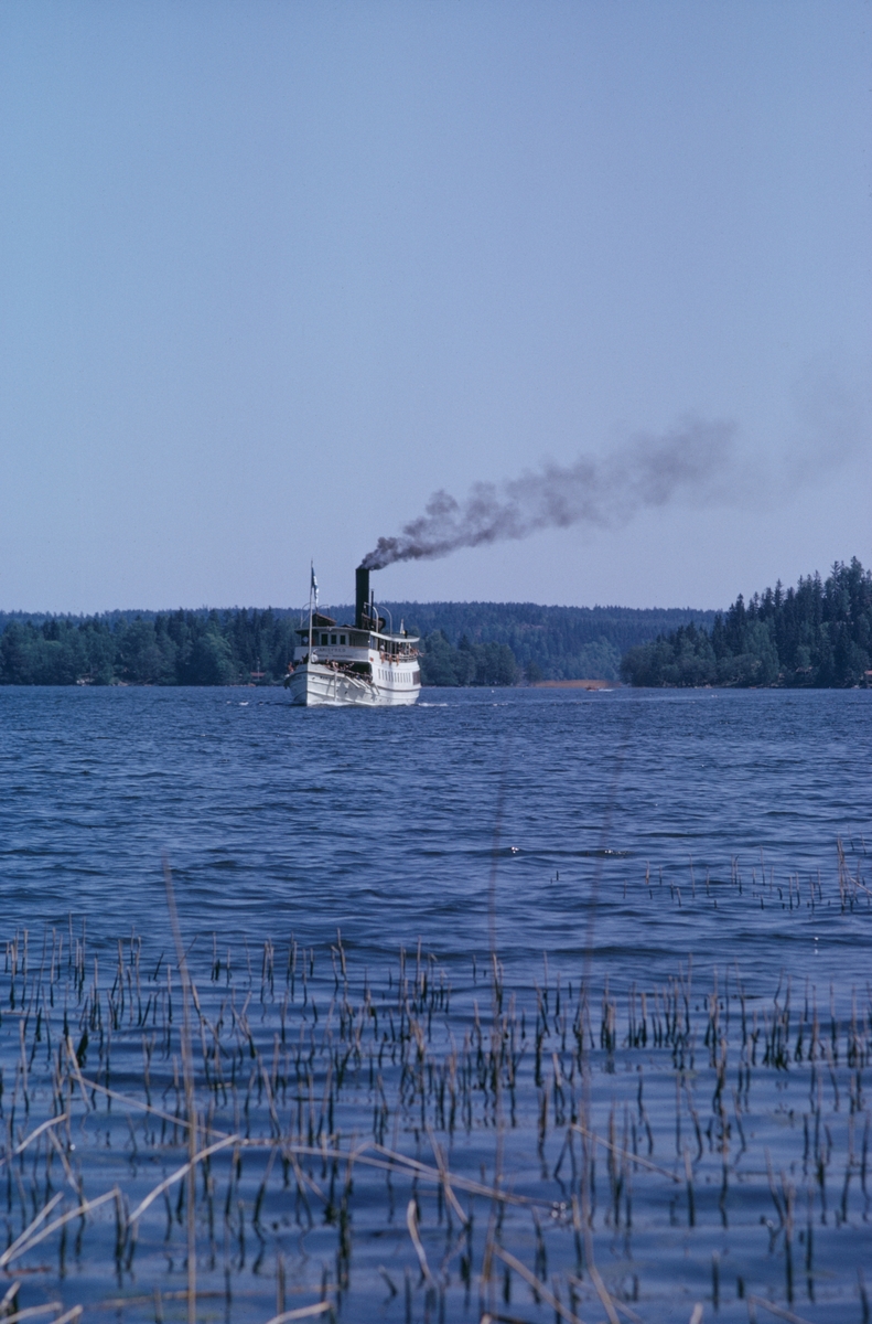 SS Mariefred. - Sjöhistoriska museet / DigitaltMuseum