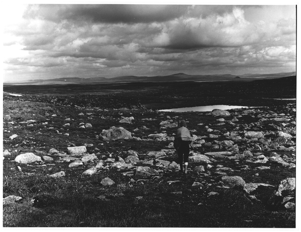 Hardangervidda. På ruten Sandhaug - Trondsbu - DEXTRA Photo ...