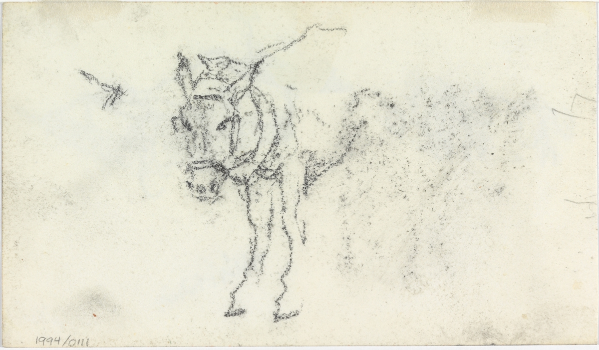 Muldyr [Tegning] - Nasjonalmuseet, billedkunstsamlingene / DigitaltMuseum