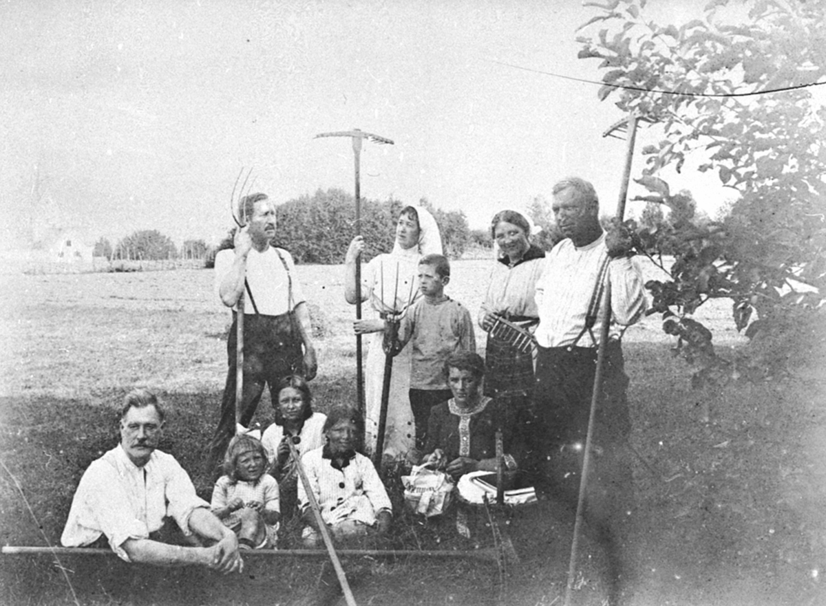 Høyonn på Flisaker gard, Veldre, Ringsaker. Foran fra venstre er Otto ...