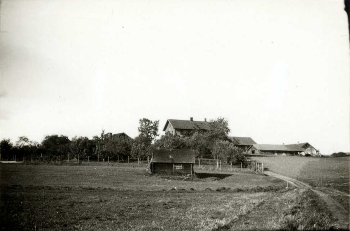 S. Kårtorp, Furnes, Ringsaker, Hedmark. Gården sett fra et jorde ...