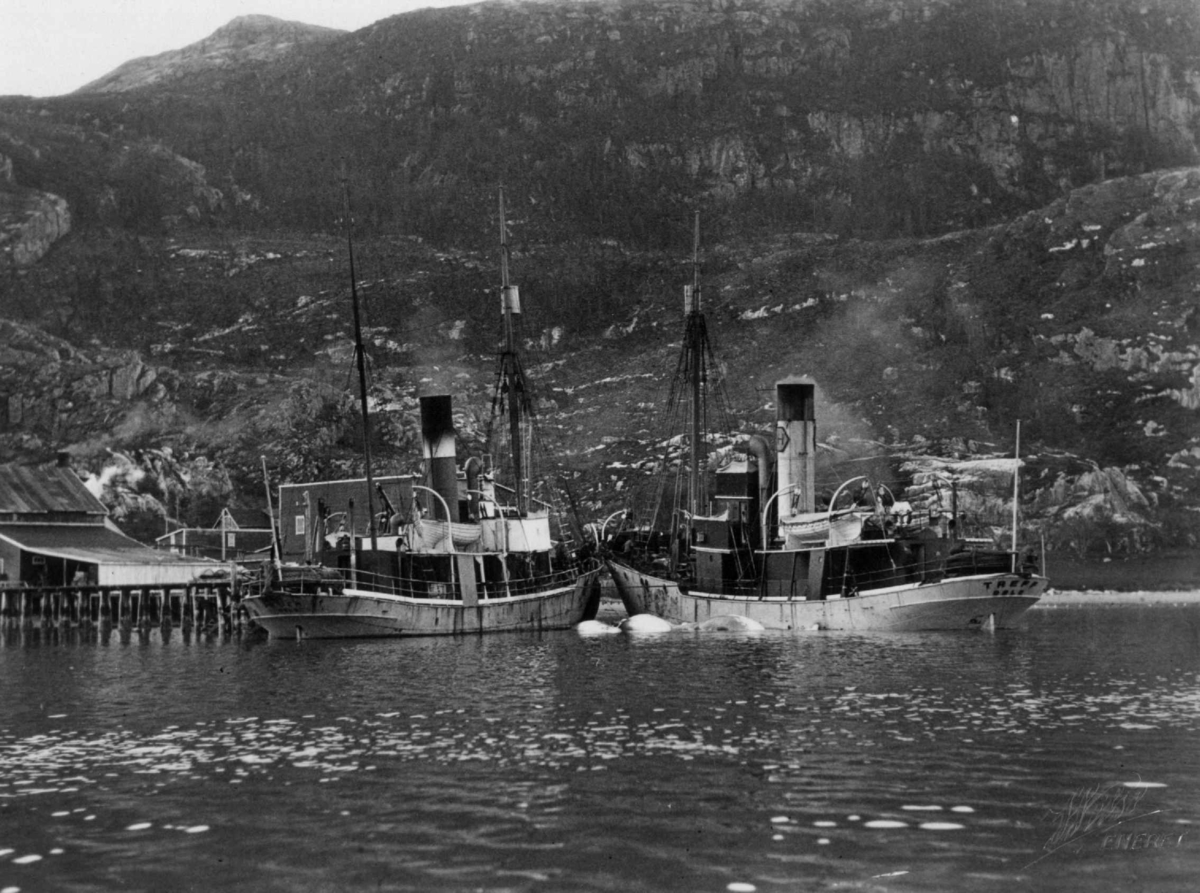 Hvalfangst - Norsk Folkemuseum / DigitaltMuseum