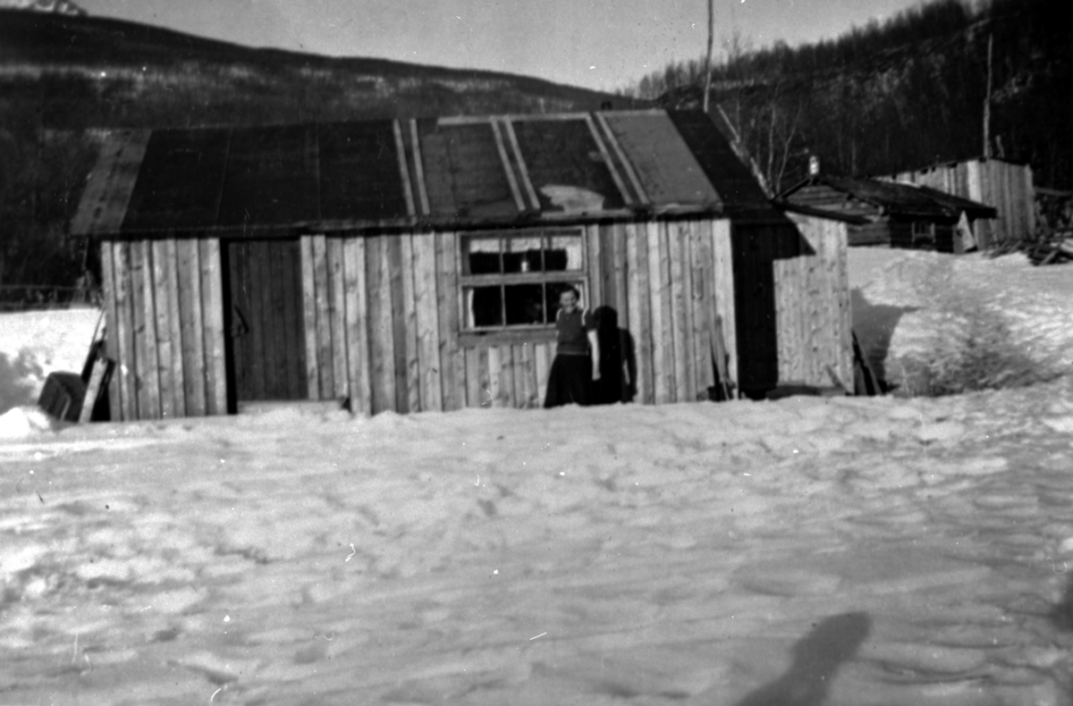 Bosted - Nord-Troms Museum / DigitaltMuseum