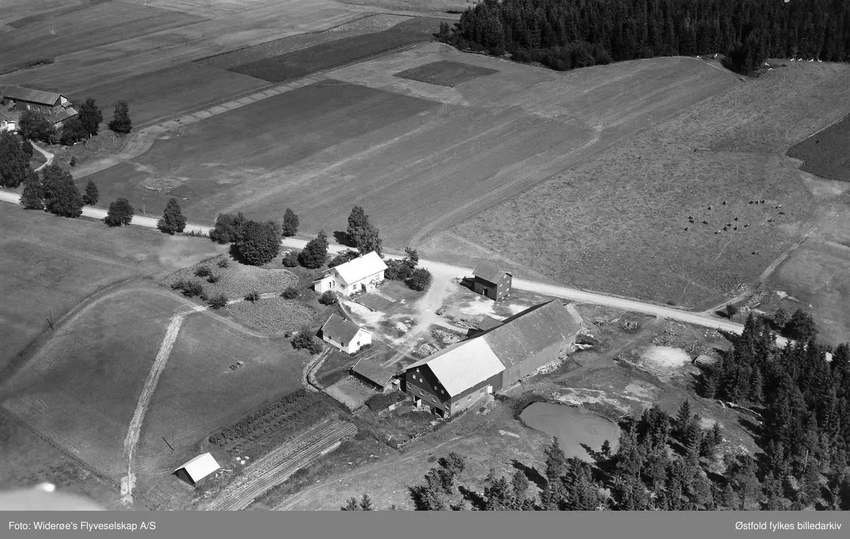 Gården Torp i Eidsberg, flyfoto 4. august 1951. - Østfold fylkes ...