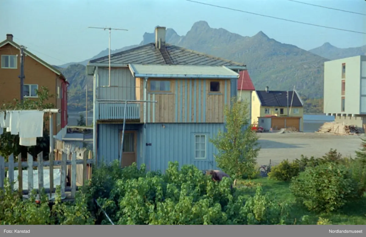 Hus, hage, gjerde - Nordlandsmuseet / DigitaltMuseum