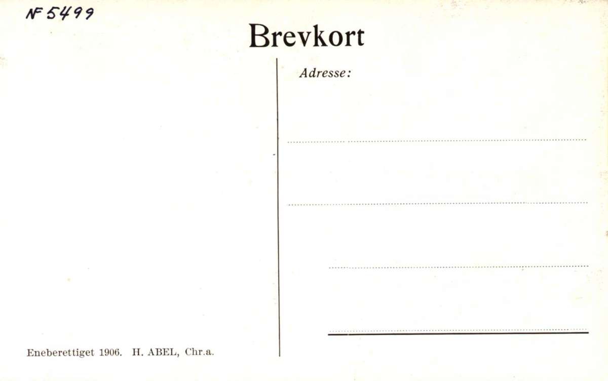 Postkort. Tekst på postkortet: "Kroning av kong Haakon i Nidarosdomen, 22 juni 1906". - Norsk ...
