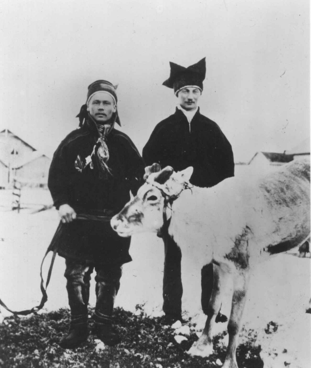 Portrett av Johan Spei Oskal og Samuel I. Norvang med et reinsdyr ...