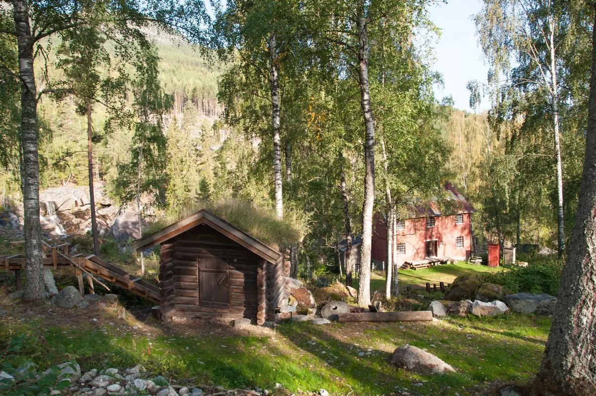 Aktivitetsdag Mølledag - Hallingdal Museum